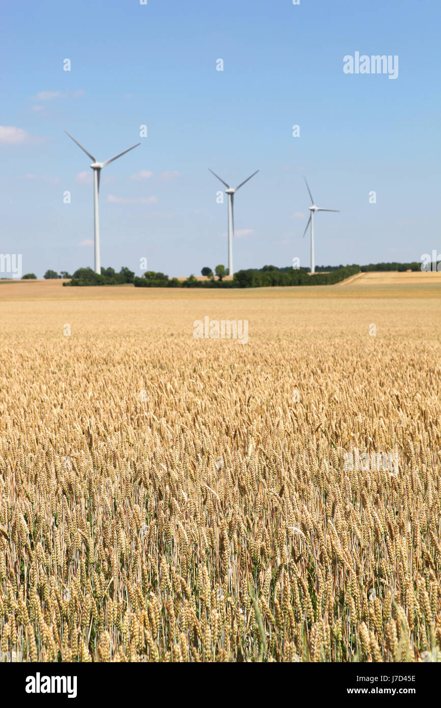 industry agriculture farming field summer summerly energy power ...