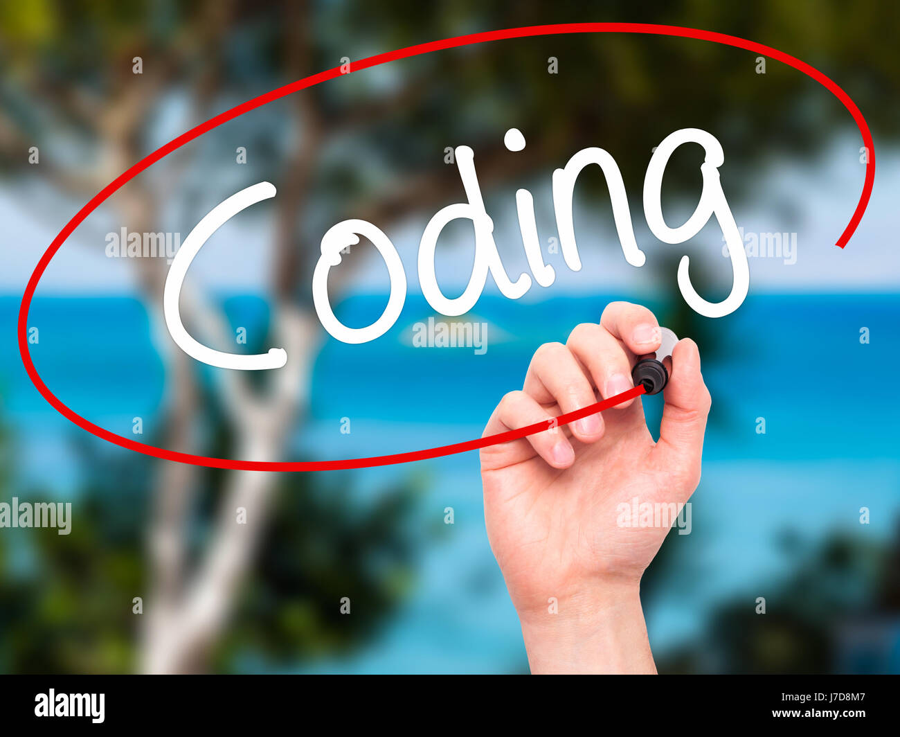 Man Hand writing Coding with black marker on visual screen. Isolated on ...