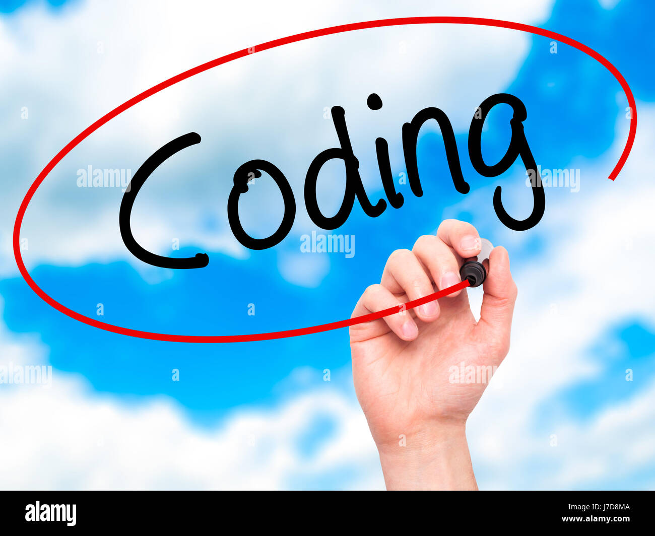 Man Hand writing Coding with black marker on visual screen. Isolated on ...