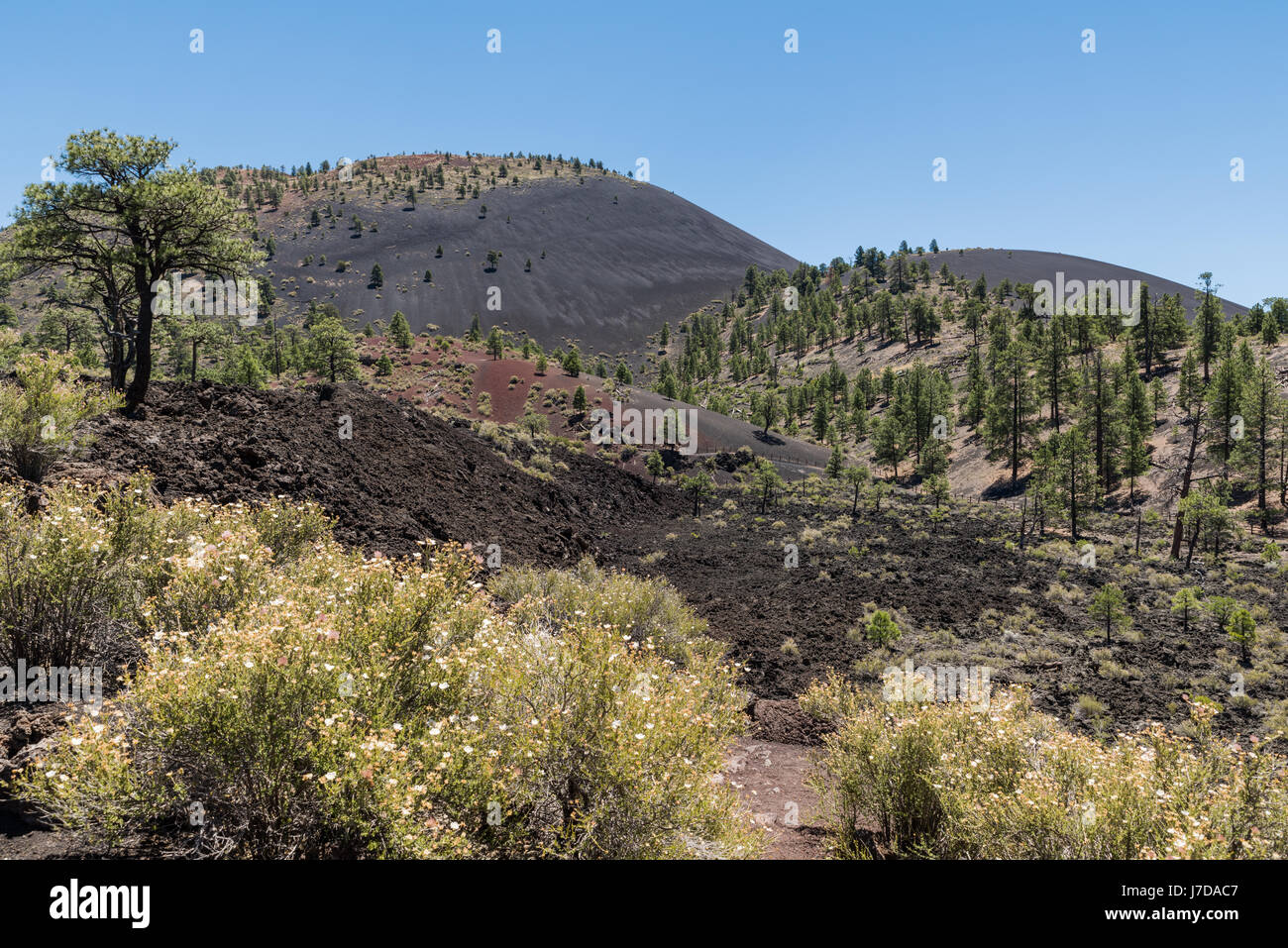 Sunset Crater in Sunset Crater Volcano National Monument near Flagstaff ...