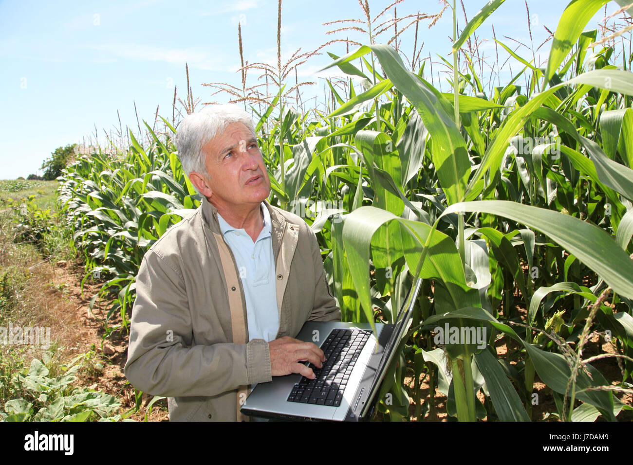 laptop notebook computers computer food aliment job agricultural ...
