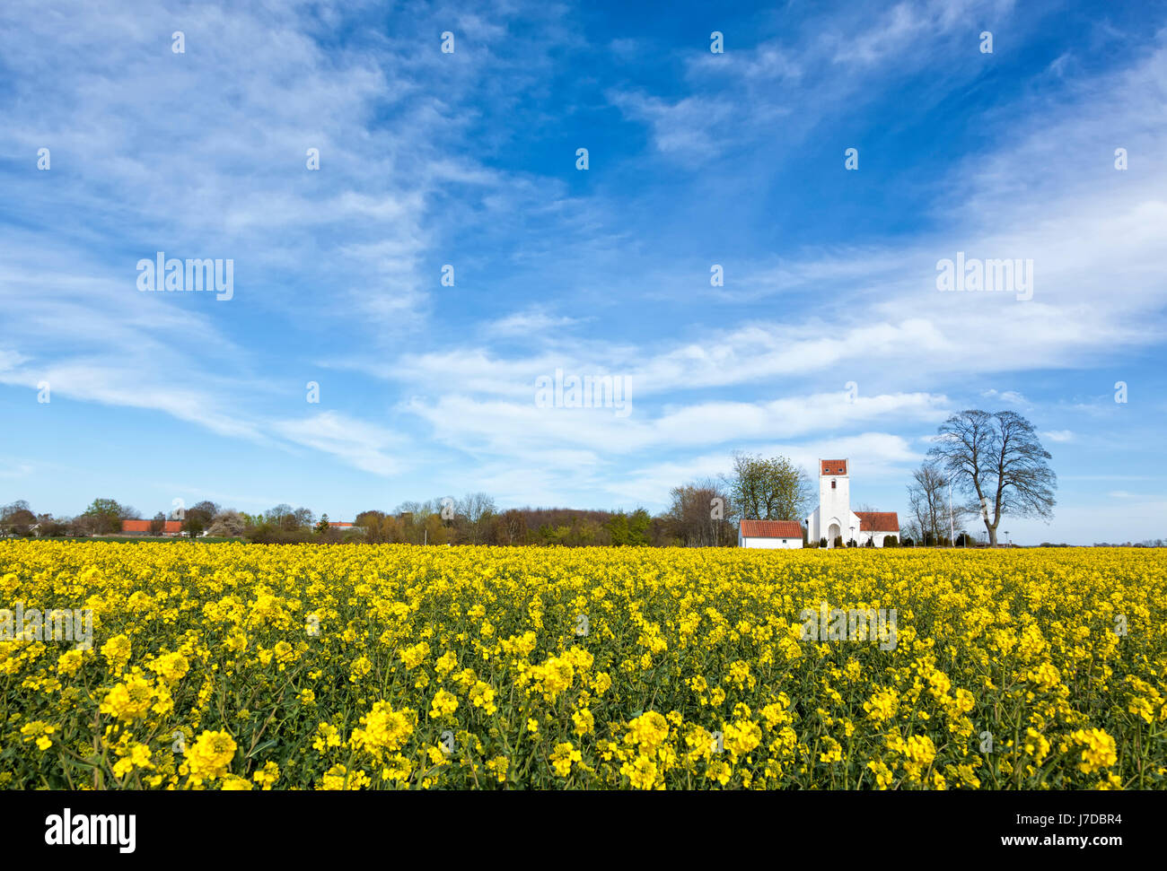 Karlby church and rape fields near Grenaa, Jutland, Denmark Stock Photo ...