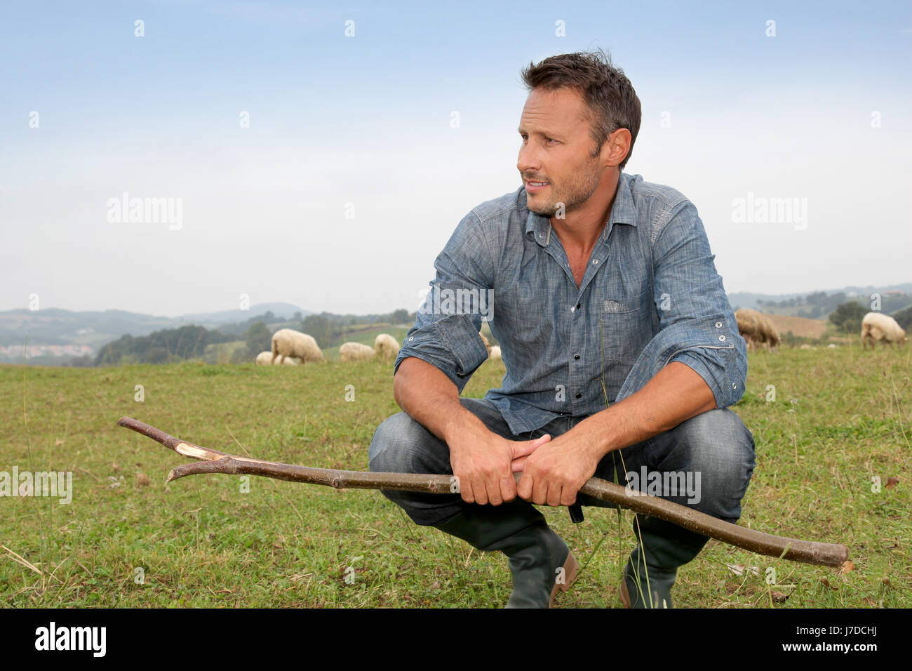 field herd shepherd landscape scenery countryside nature herdsman ...