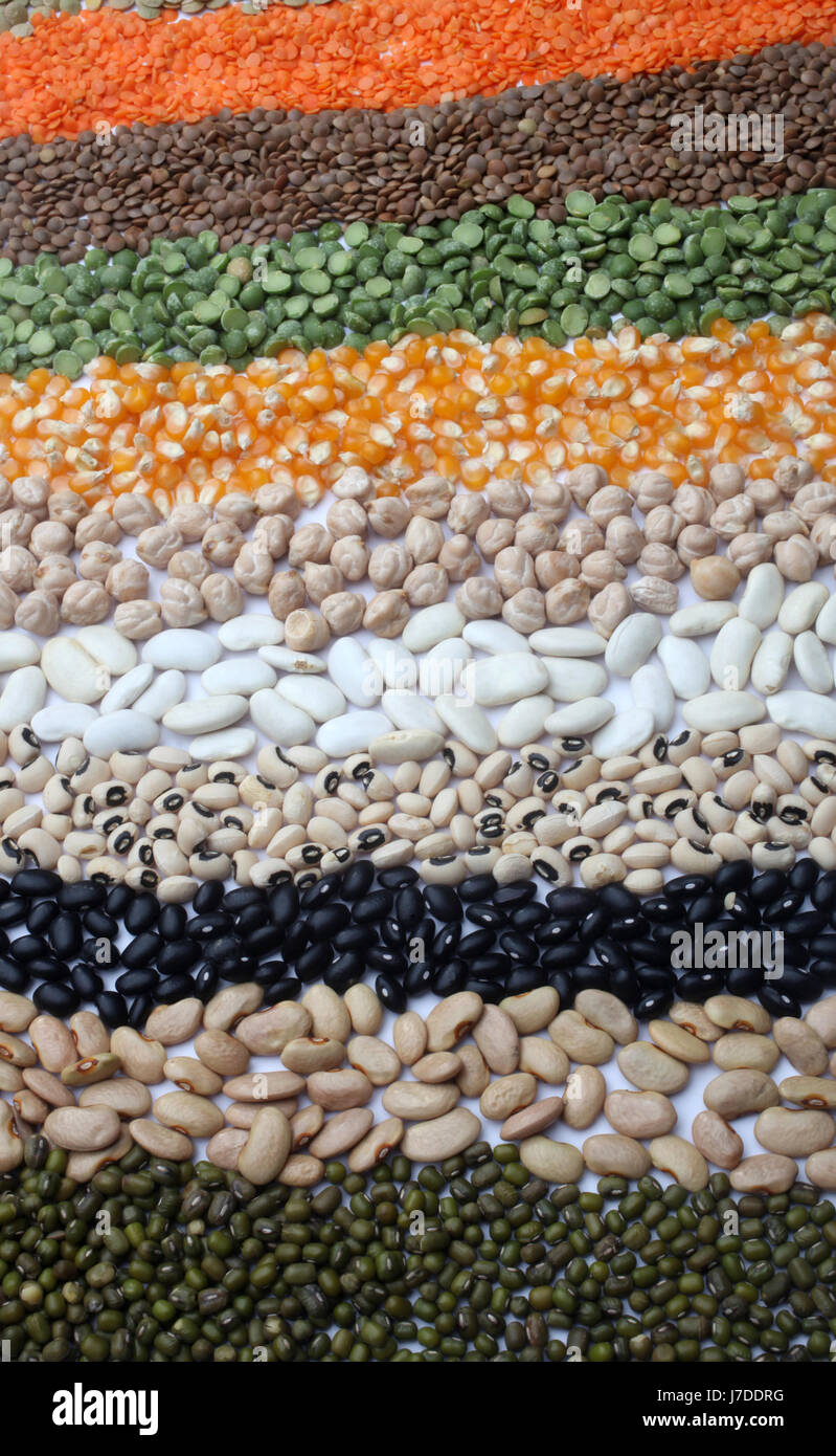grain corn seed legume bean cereal food aliment health agriculture ...
