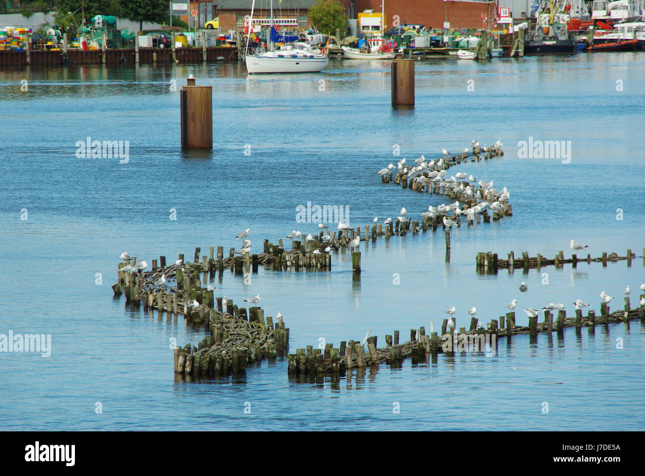 herring fences in the port of kappeln Stock Photo - Alamy herring fences in the port of kappeln Stock Photo - Alamy