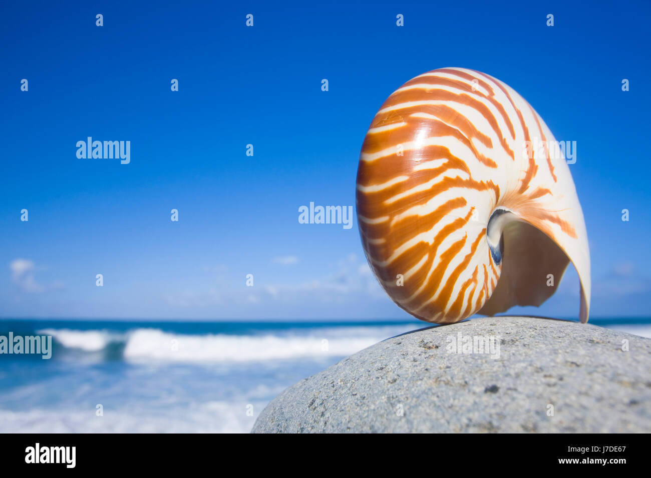 beach seaside the beach seashore seashell blue stone holiday vacation holidays Stock Photo - Alamy