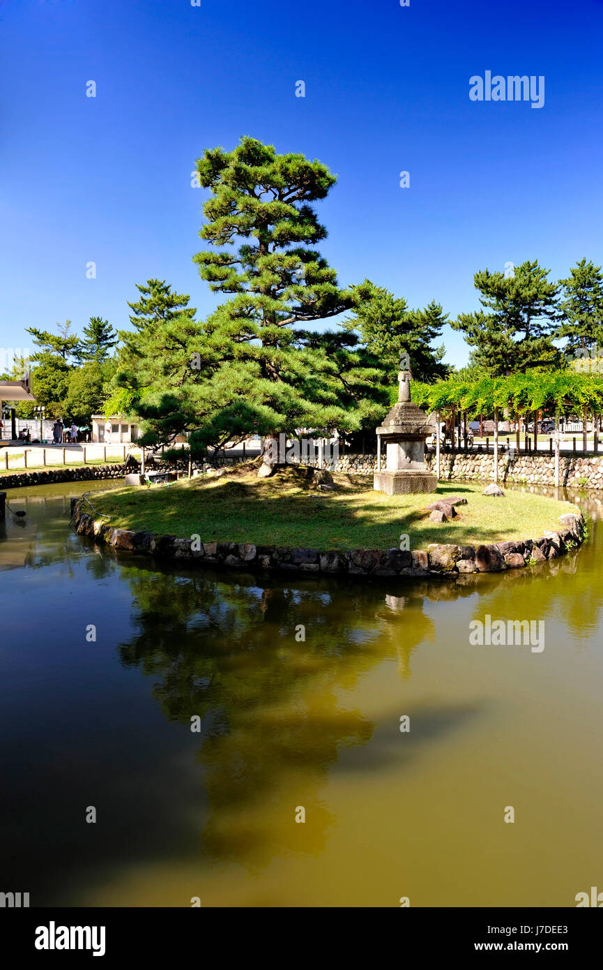 garden fresh water pond water japanese japan blue detail culture tree ...