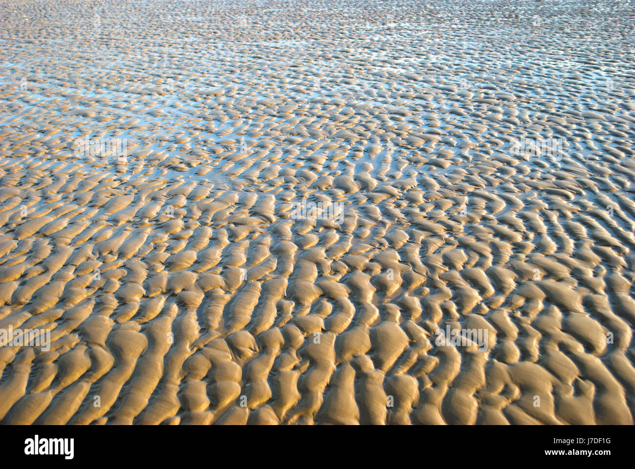 beach seaside the beach seashore coast out tides tide salt water sea ...