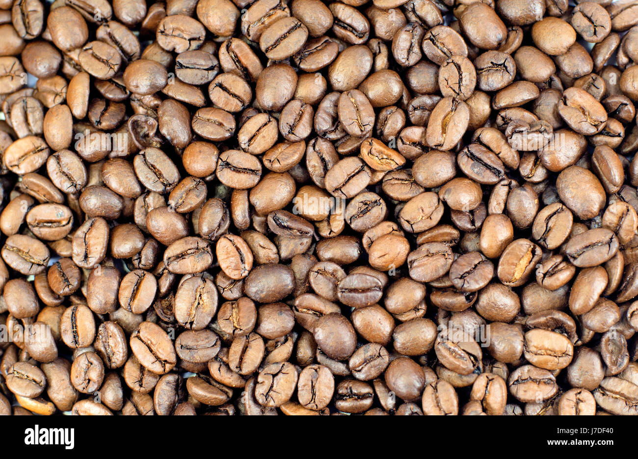 beans bean coffee beans beverage espresso coffee caffeine stimulant pot ...