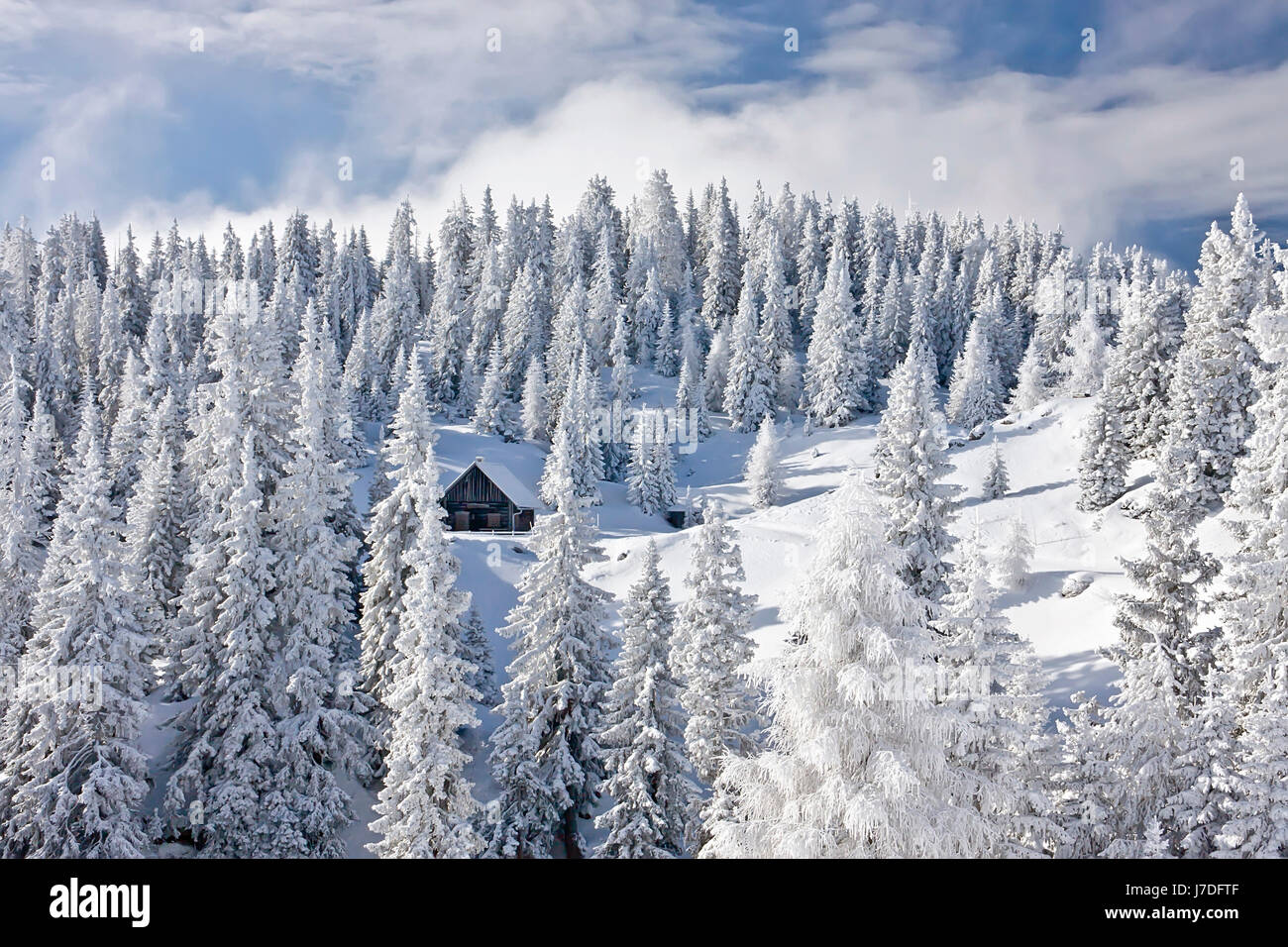 hut in winter forest Stock Photo - Alamy