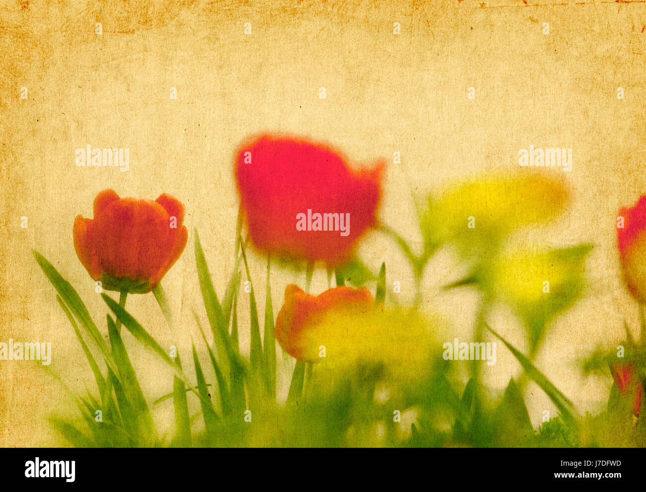 spring flowers nostalgic Stock Photo - Alamy
