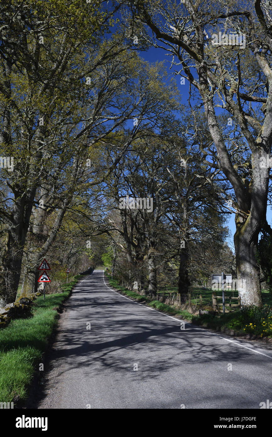 struy bridge;thomas telford;A831;struy;highlands;scotland Stock Photo ...