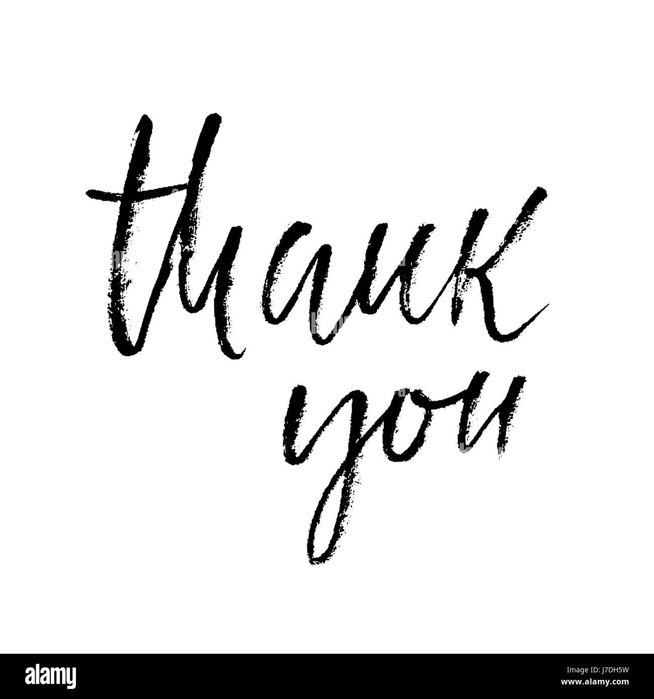 Thank You handwritten inscription. Hand drawn modern dry brush ...