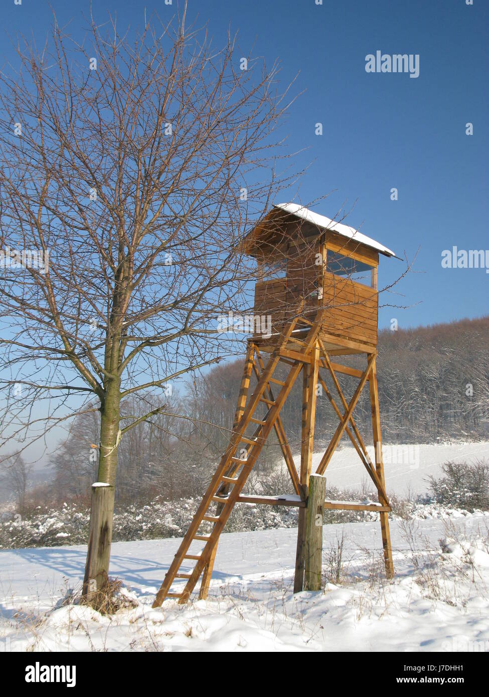 wait waiting station environment enviroment tree mountains winter wood ...
