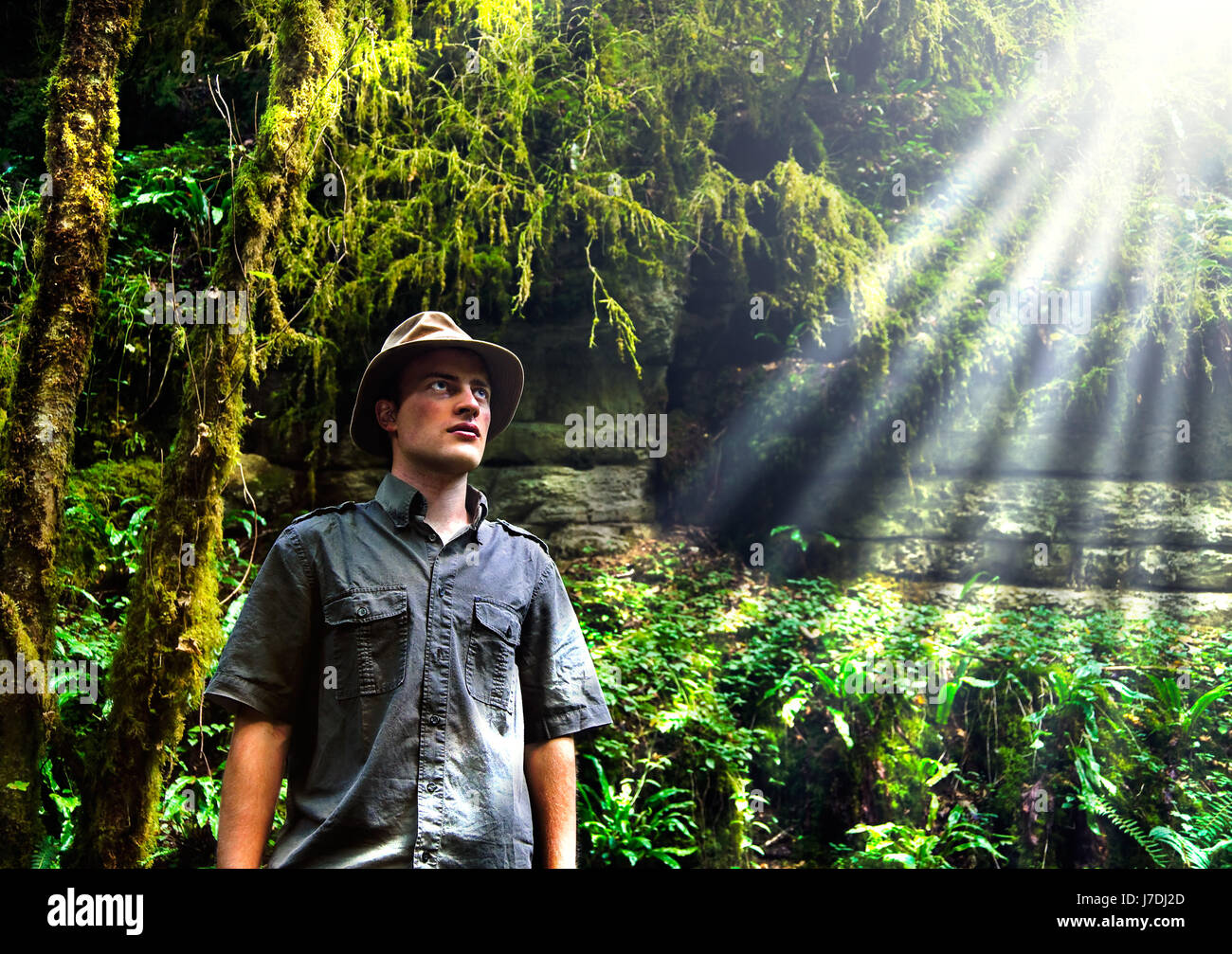 jungle adventure adventurer forest man nature light tree wild male ...