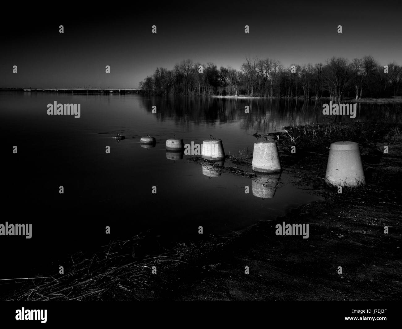 Spring time woods Black and White Stock Photos & Images - Alamy