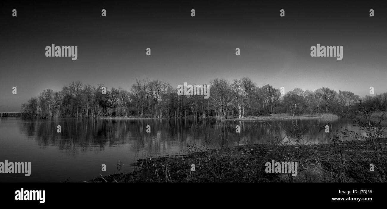 Spring time woods Black and White Stock Photos & Images - Alamy