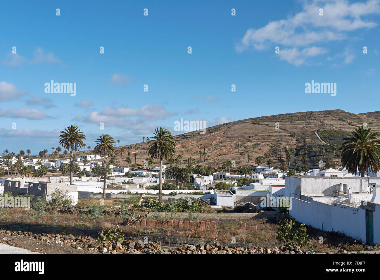 Haria 1000 palms valley lanzarote hi-res stock photography and images ...