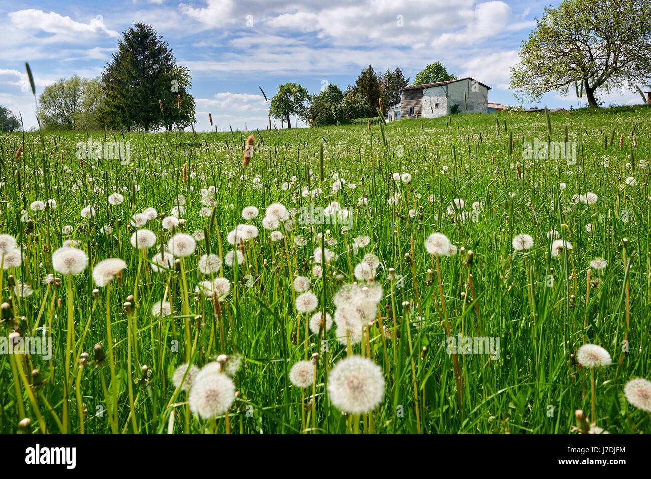 beautiful quiet countryside Stock Photo - Alamy