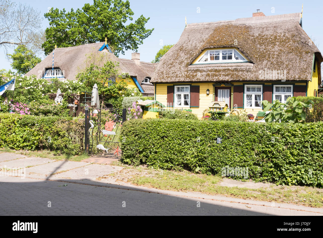 Born hi-res stock photography and images - Alamy