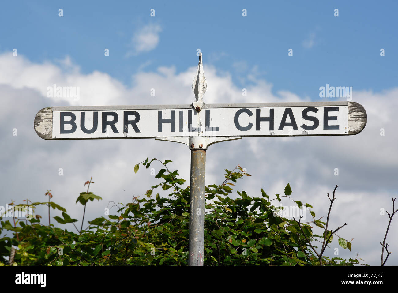 Chase sign hi-res stock photography and images - Alamy