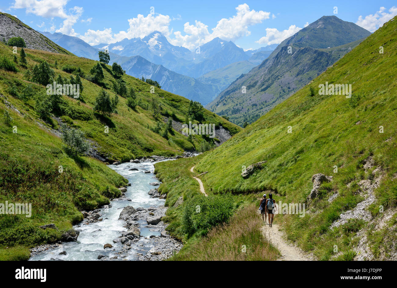 People trekking beside River in green Valley during summer, French Alps ...