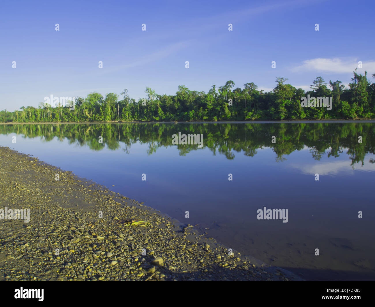 Brazza River flowing through the rain forest of the Indonesian jungle ...