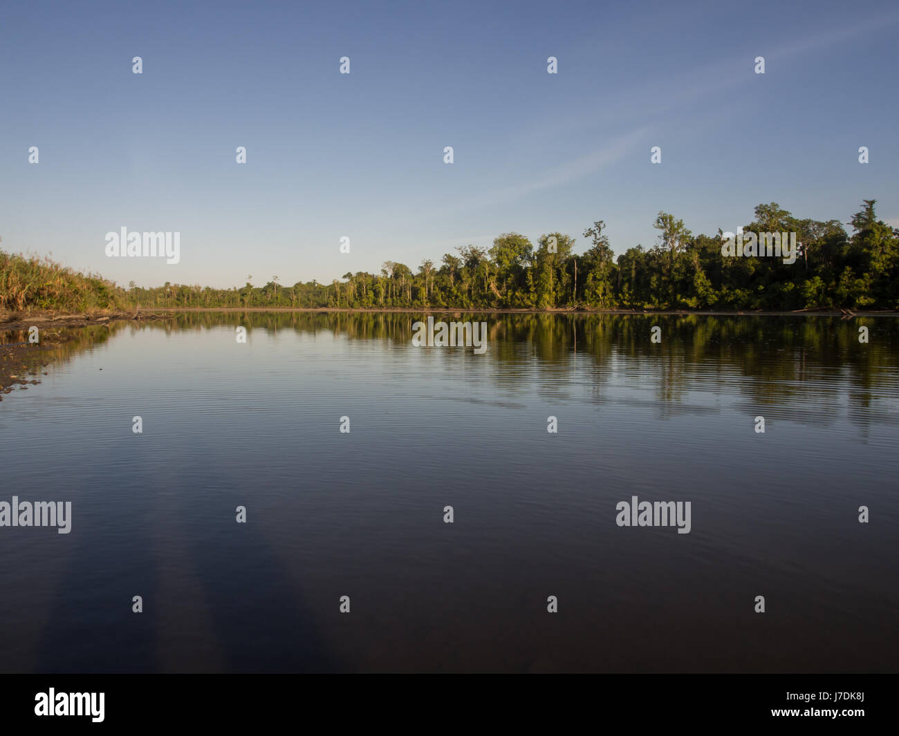 Brazza River flowing through the rain forest of the Indonesian jungle ...