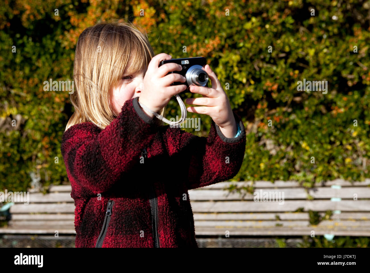 hobby photo camera photographer photograph childhood picture image copy ...