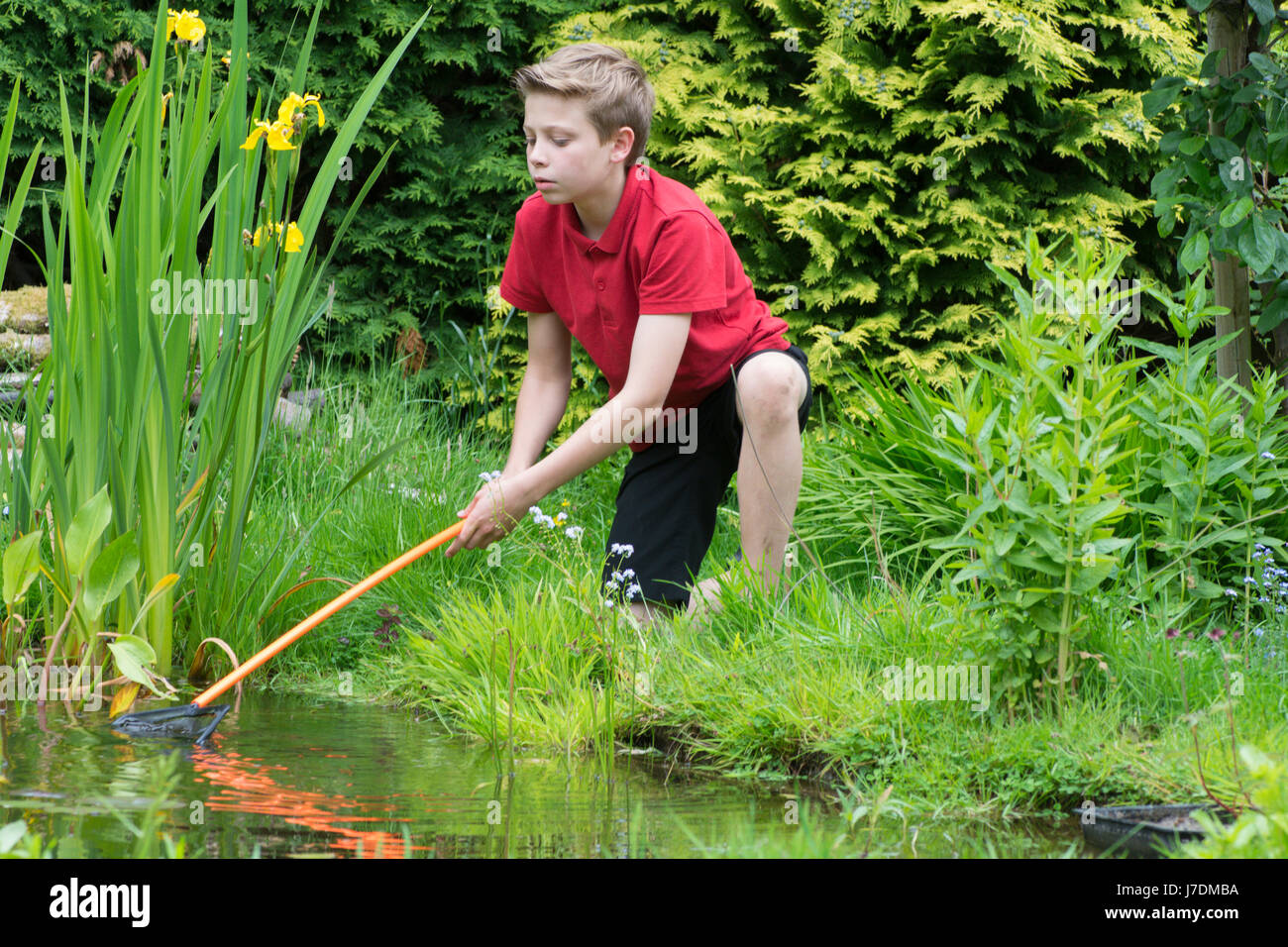 Naturalist garden hi-res stock photography and images - Alamy