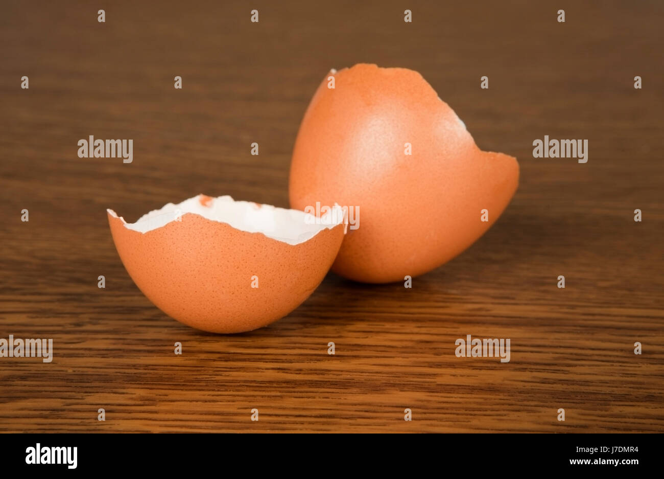 brown brownish brunette broken crash egg eggshell crack damaged ...