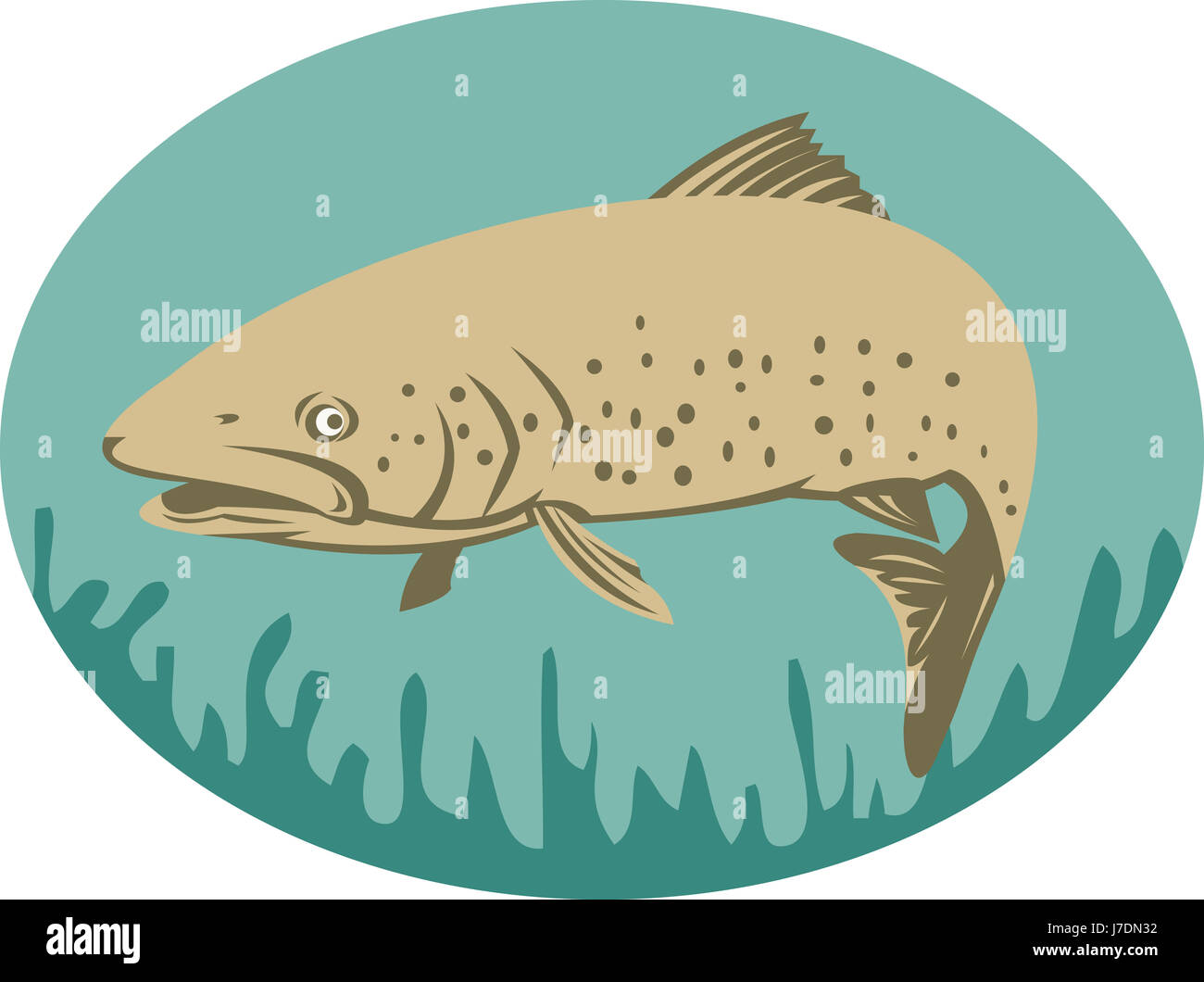 fish illustration trout spotted speckled retro salmon fish spring ...