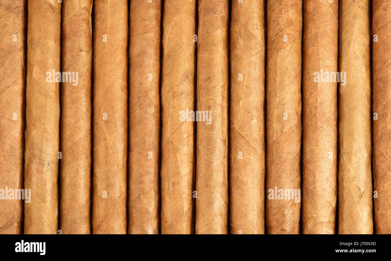 cigar row tobacco cuba cuban havana smoker whiff smoke smoking line ...