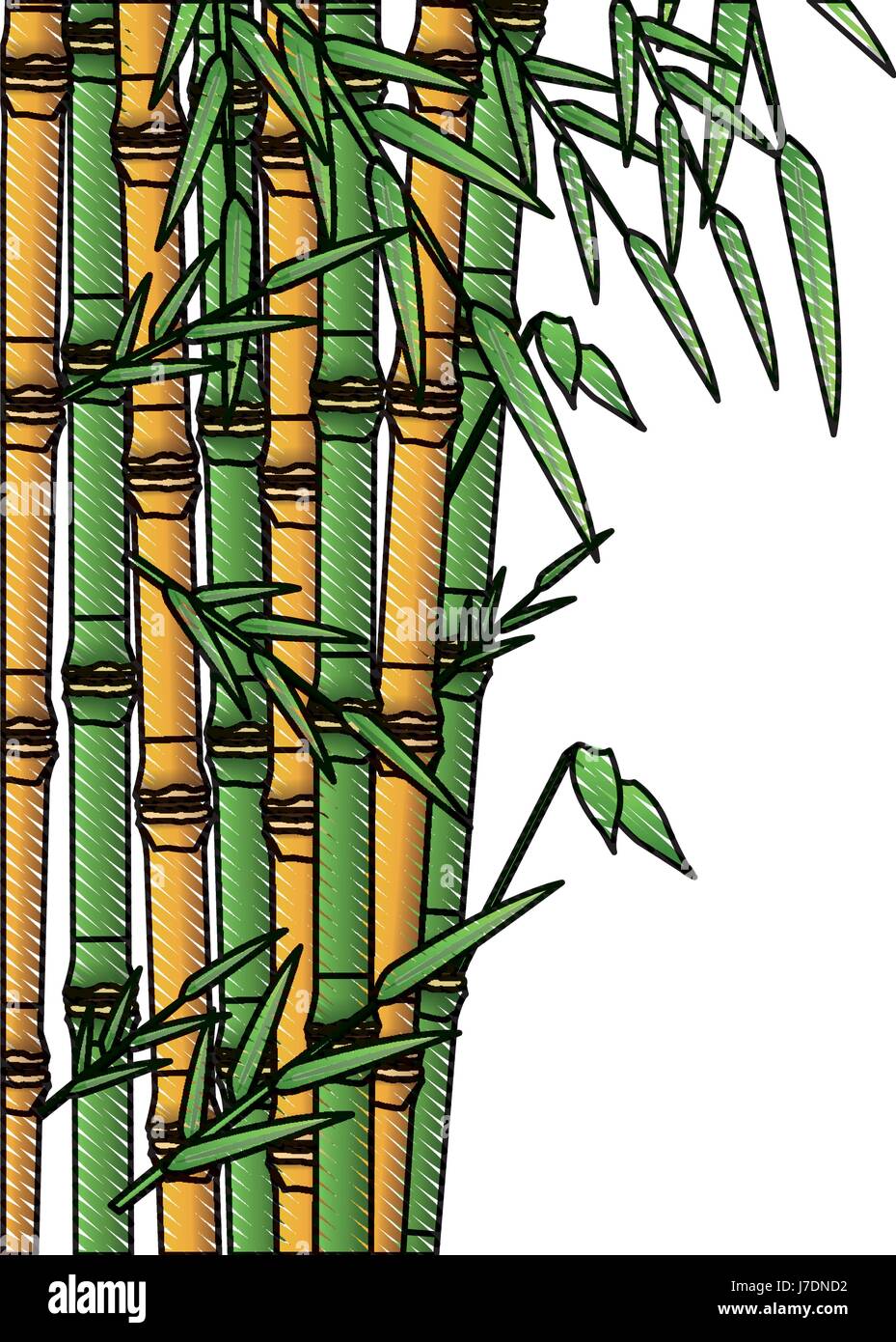 bamboo forest set. spa nature. plant tree with leaves Stock Vector ...