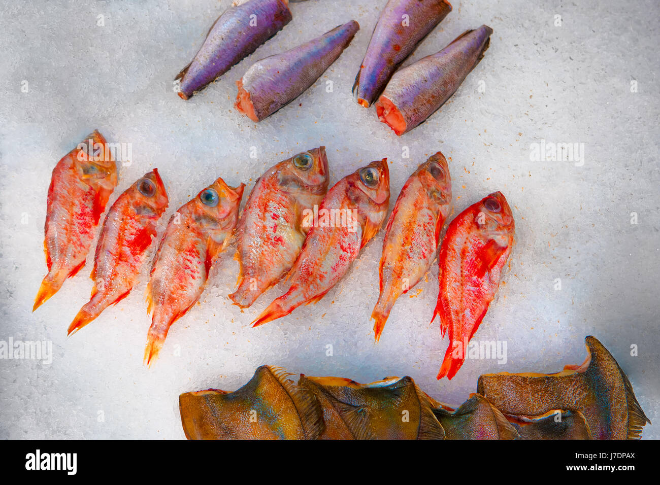 Different sea fish on ice above view Stock Photo - Alamy