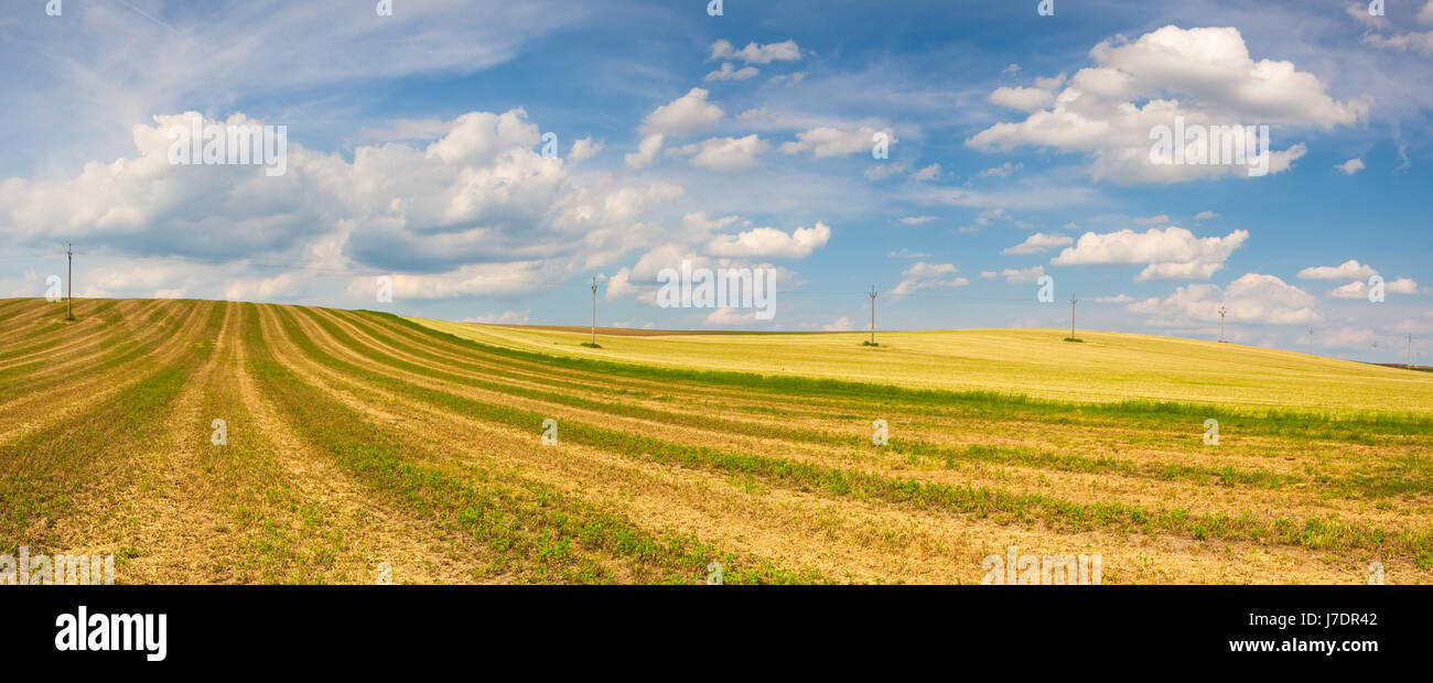 Harvested empty field on the hills at sunset.Panorama picture Stock ...
