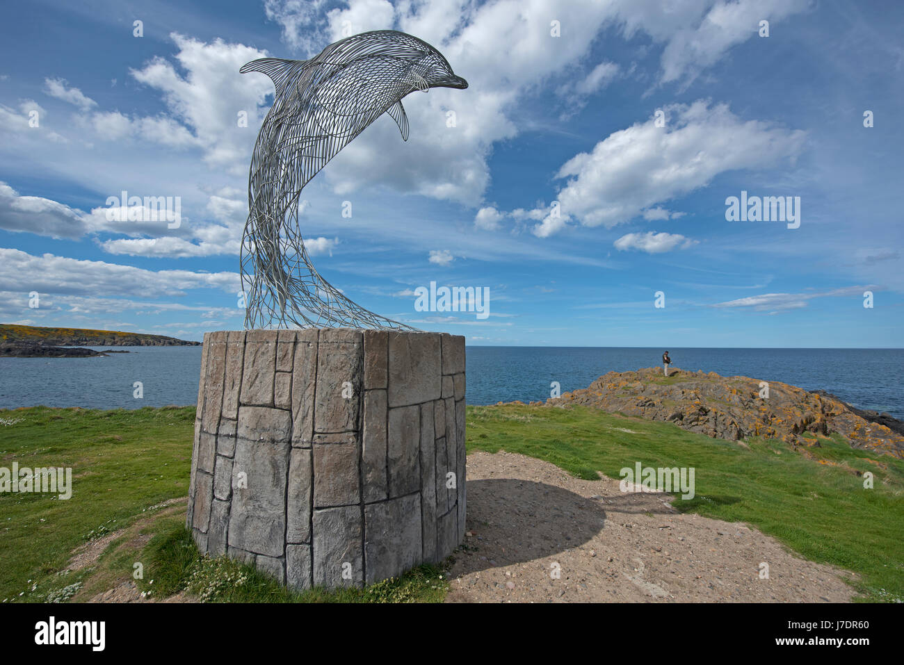 Harbour dolphin scotland hi-res stock photography and images - Alamy