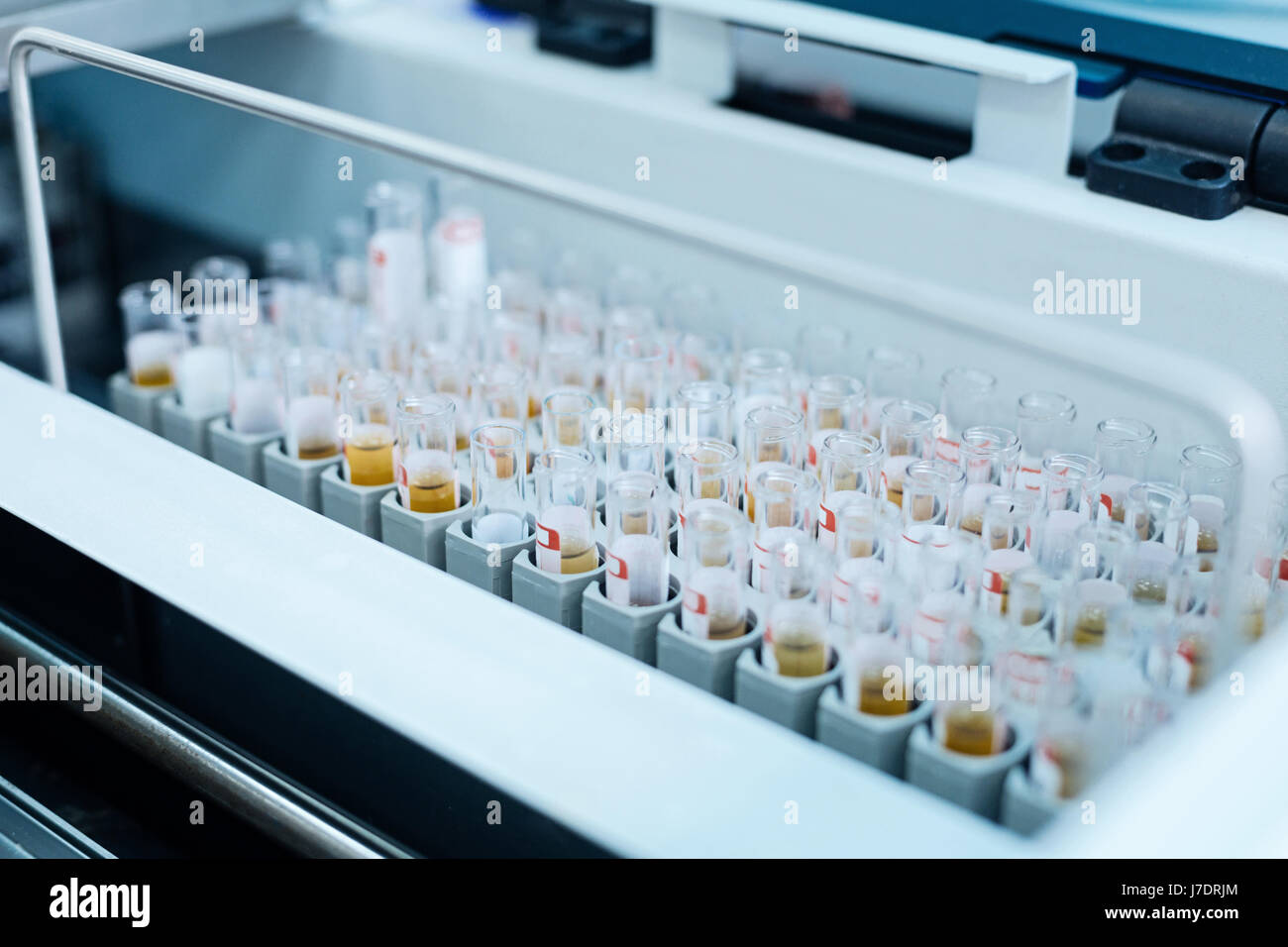 Test tubes standing in special organizer Stock Photo - Alamy