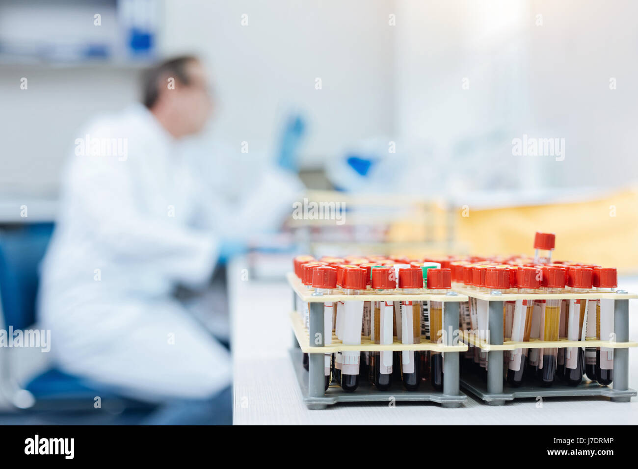 Many test-tubes standing on holder Stock Photo - Alamy
