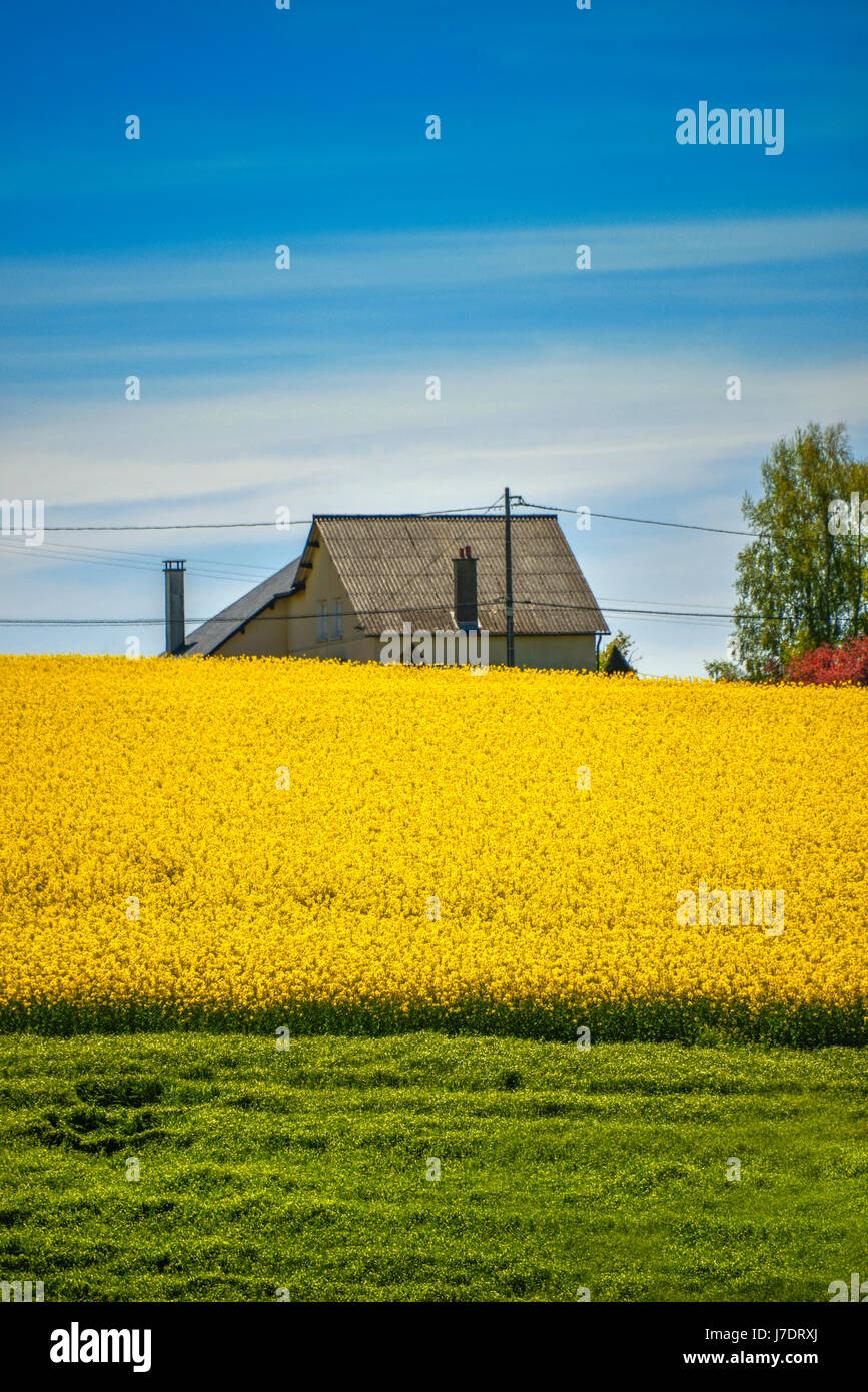 Yellow farm house hi-res stock photography and images - Alamy