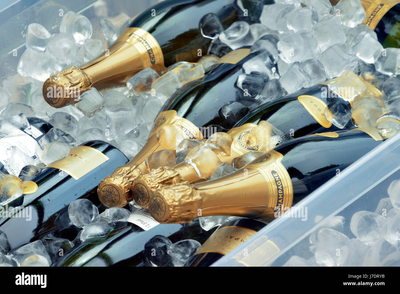 Champagne bottles on ice Stock Photo - Alamy