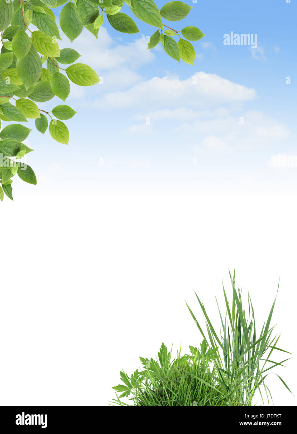 Ecology concept. Border made from green grass and leaves against blue ...