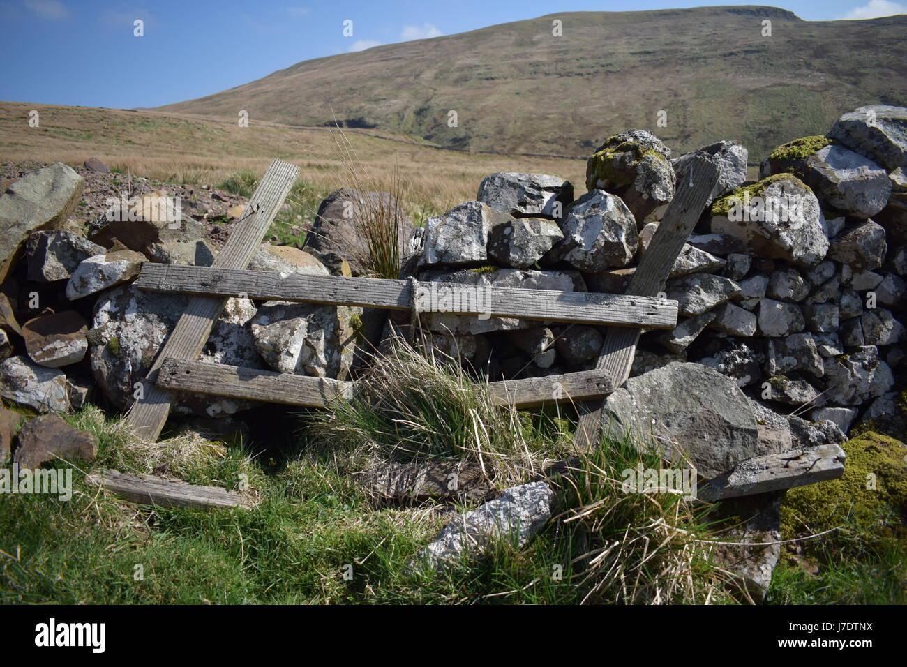 Scottish hillside hi-res stock photography and images - Alamy