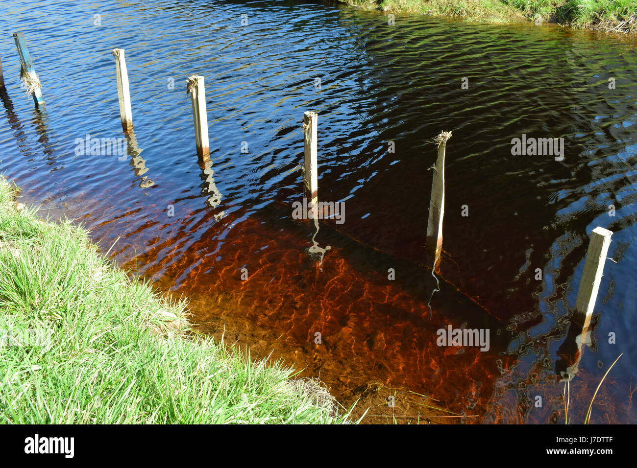 Poles on water Stock Photo - Alamy