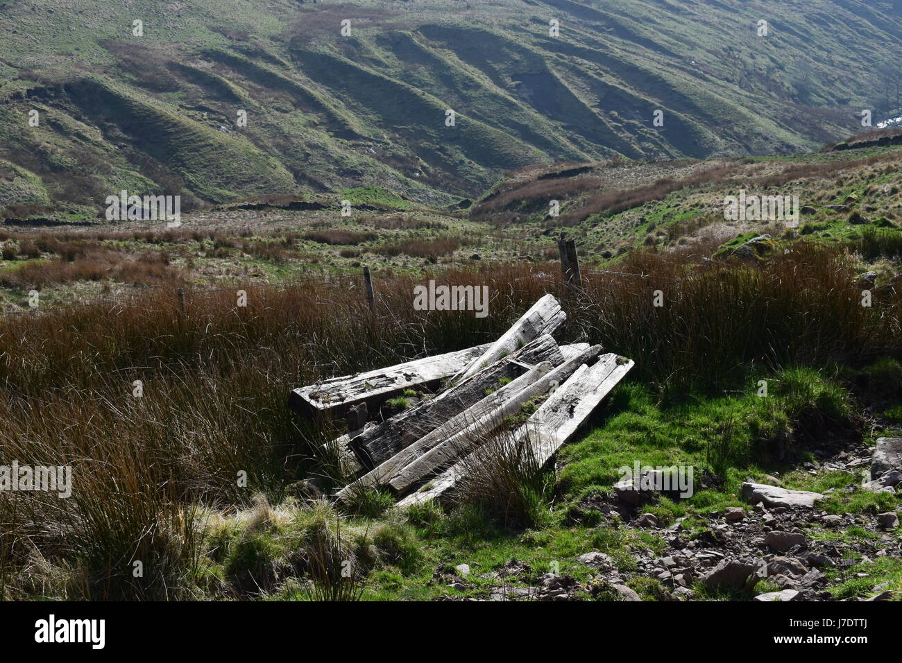 Scottish hillside hi-res stock photography and images - Alamy
