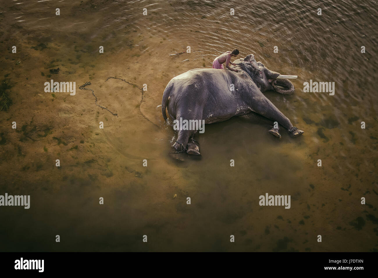 Abstract wallpapers with oil milk and water Stock Photo - Alamy