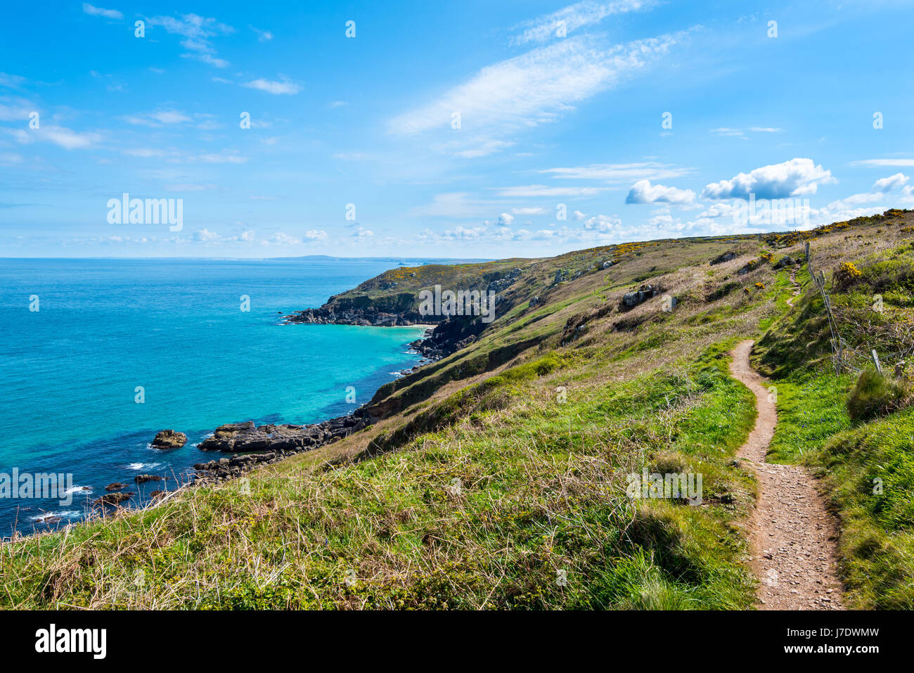 Sea pen north atlantic hi-res stock photography and images - Alamy