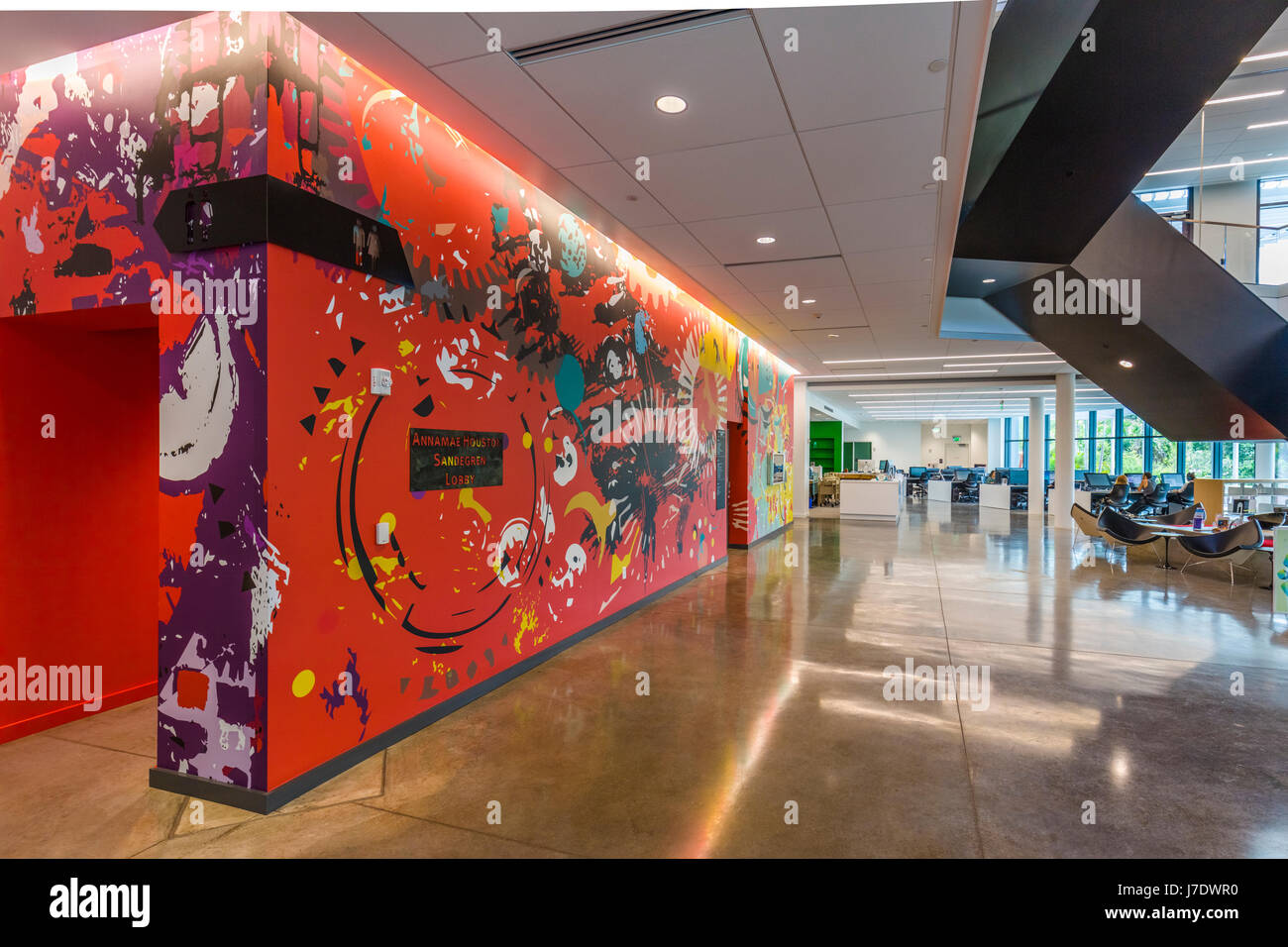 The interior of The Alfred R. Goldstein Library at the Ringling College ...