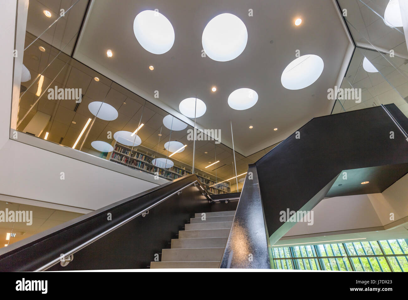 The interior of The Alfred R. Goldstein Library at the Ringling College ...