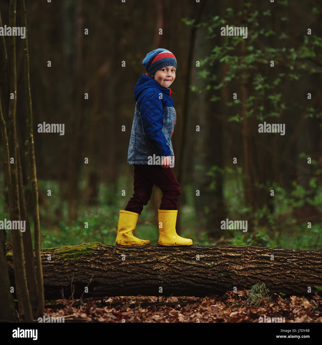 Big log hi-res stock photography and images - Alamy